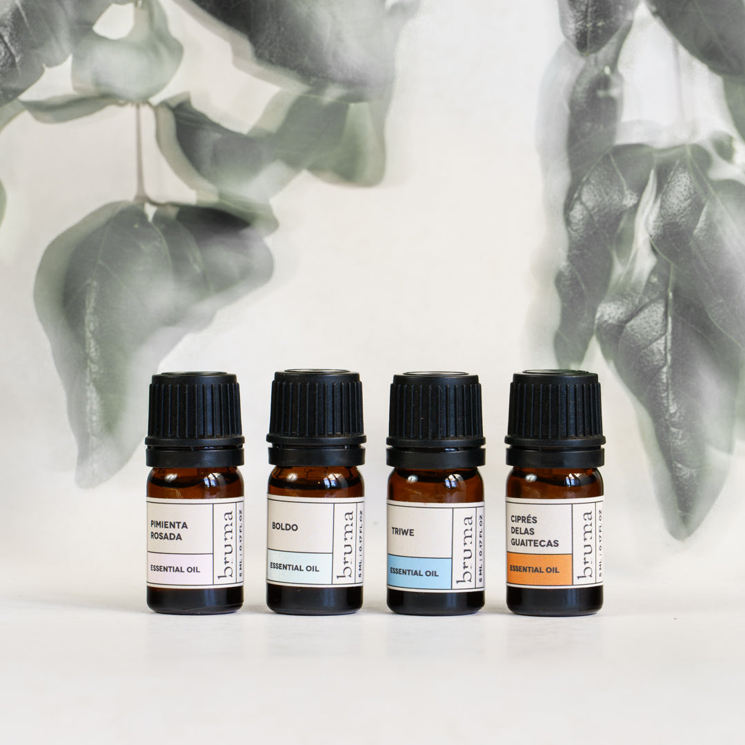 Colección Aromas de Chile - Paisaje I - Bruma Nativa
